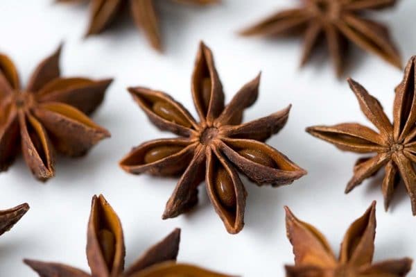 Turkish Raki | Complete Guide for Beginners | Do's & Don'ts