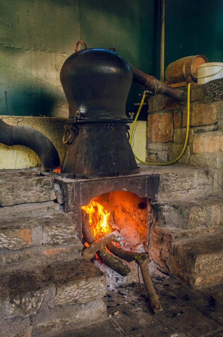 Turkish Raki | Complete Guide for Beginners | Do's & Don'ts