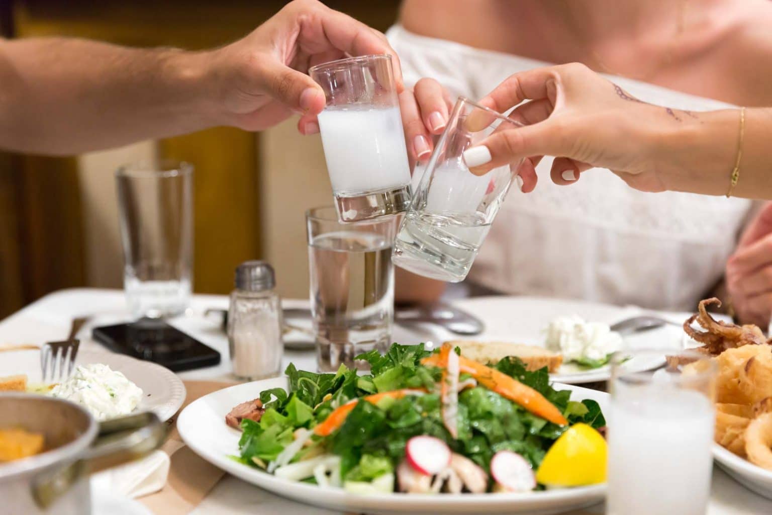 Turkish Raki | Complete Guide for Beginners | Do's & Don'ts