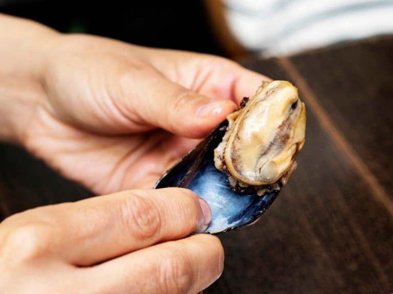 The 7 Best Mussels in Istanbul | Ultimate Guide to Mussels