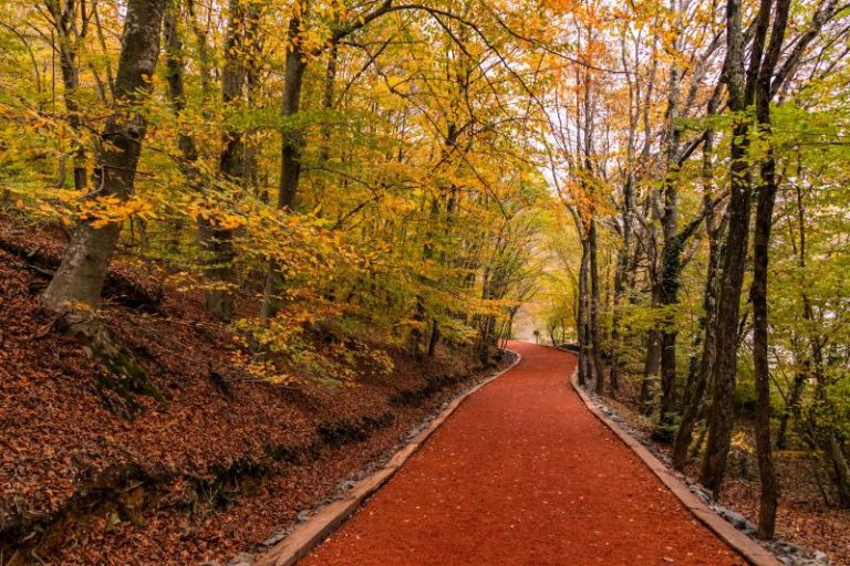 Secret Istanbul: 15 Hidden Gems in Istanbul that You'll Love